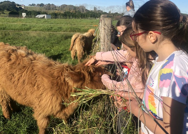 10 Family-Friendly Activities To Do With Kids In Byron Bay